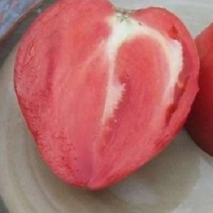 Beef Heart Tomato | oroseeds