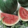 Watermelon Refined Sugar | oroseeds
