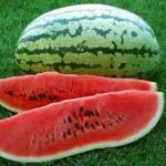 Watermelon Klondike ( Blue Ribbon ) | oroseeds